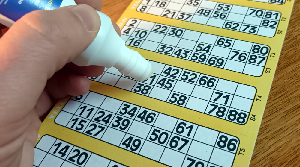 Bingo Ticket Flyers 6 To View